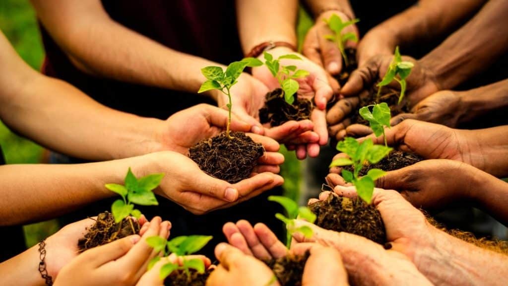 Dublin Community Foundation: Giving Back. Paying Forward. Having Heart ...